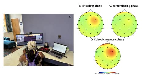 Video Author Spotlight Investigating The Effects Of Mind Body Movement Practices On Brain Function