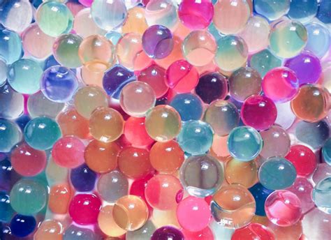 Fluid Sexualities Sigmund Freud Private University