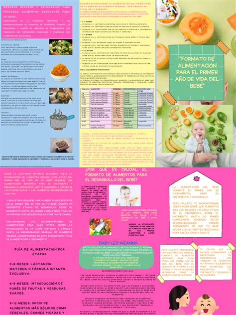 Alimentacion Complementaria Pdf