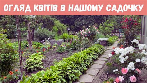 Огляд квітів в нашому садочку🌺 Youtube