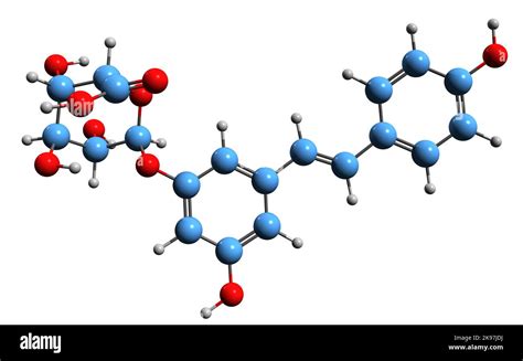 3d Image Of Trans Resveratrol 3 O Glucuronide Skeletal Formula Molecular Chemical Structure Of