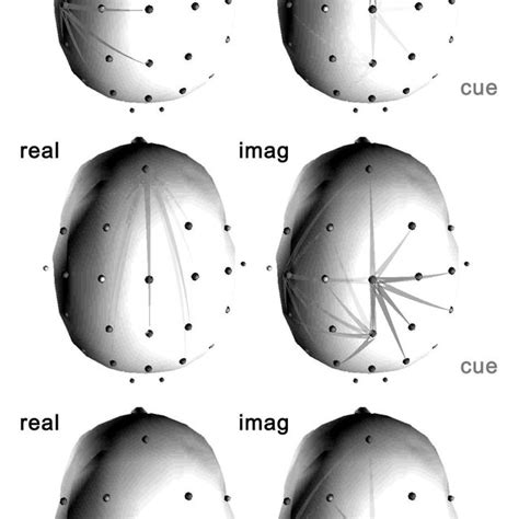 Snapshots Of The Movie Representing Propagation Of EEG Signal During Download Scientific