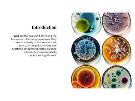 Cell Structure And Function PowerPoint Slides LearnPick India