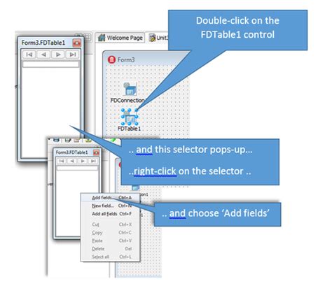 Delphi And Access Walkthrough Connecting The Other Controls
