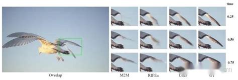Cvpr 2023｜ema Vfi 基于帧间注意力提取运动和外观信息的高效视频插帧 知乎
