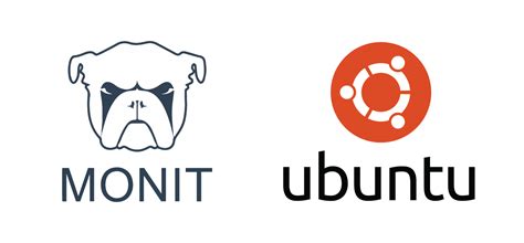 Install Latest Monit On Ubuntu And Later