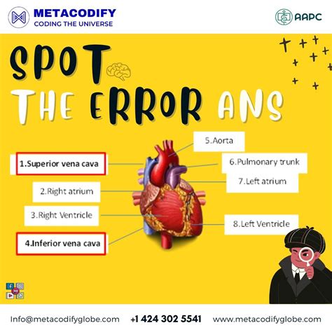 Metacodify On Linkedin Brainteasers Wordpuzzle Metacodify