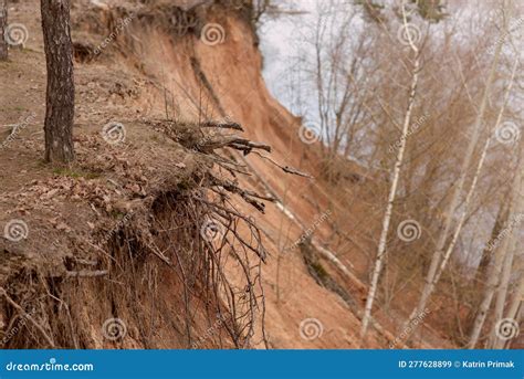 early spring river cliff brown tones river overflow stock image image of countryside