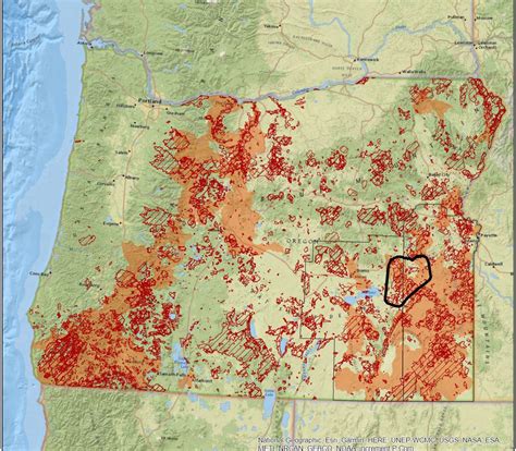 Efforts Underway To Address Fire Suppression Prevention And Restoration In Southeast Oregon