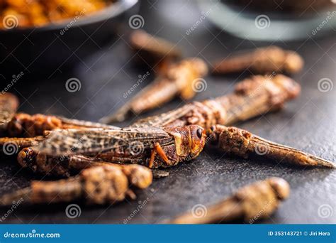 Dried Salted Insect Rosted Grasshoppers On Black Table Stock Image