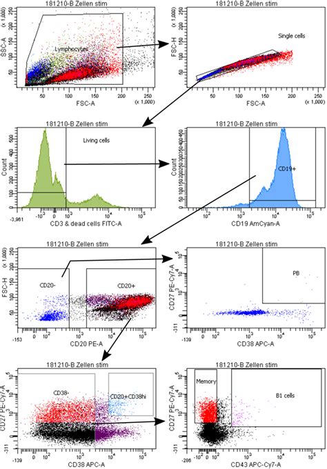 Representative Sort Plots Of Cell Sorting Of Stimulated Cd19 Cells