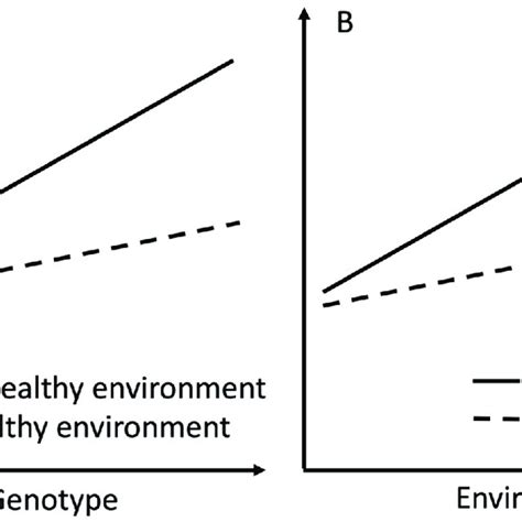 An Example Of Gene Environment Interaction A The Association Between