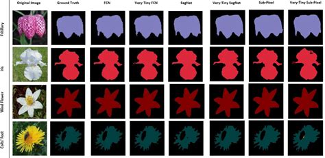 Sample Test Instances From The Oxford Flower Dataset With Visually Very