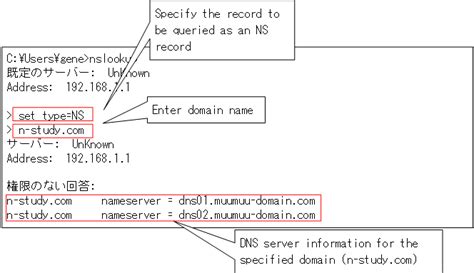 Nslookup Command Verifying DNS Name Resolution TCP IP N Study