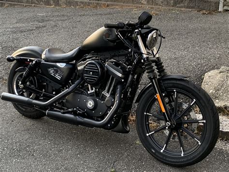Show Off Your Iron 883 Page 5 Harley Davidson Forums