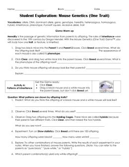 Babe Exploration Mouse Genetics One Trait