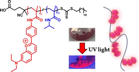 Flavylium Containing Stimuli Responsive Raft Polymers Synthesis And