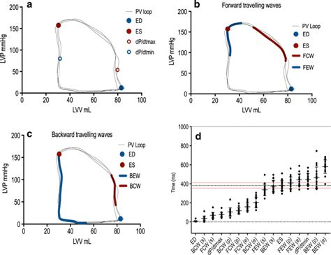 Coronary Wave Energies Superimposed On The Pressure Volume PV Loop A Download Scientific