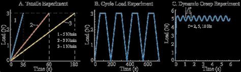 Force Curves Applied To The Tooth Pdl Bone System Model A Tensile Download Scientific Diagram