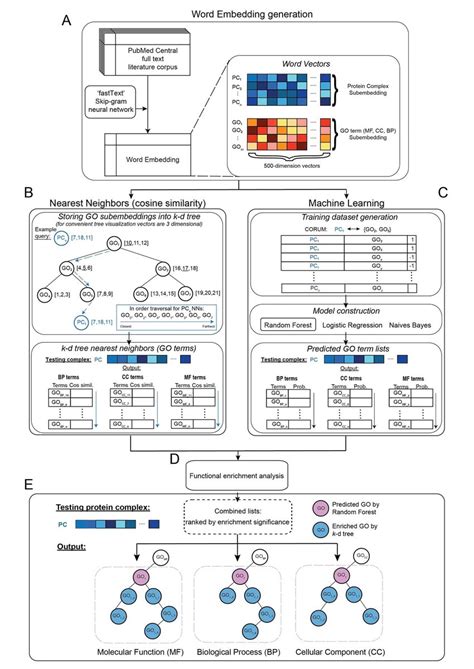 The Overall Framework Of The Pcfun Methodology A A Word Embedding Download Scientific