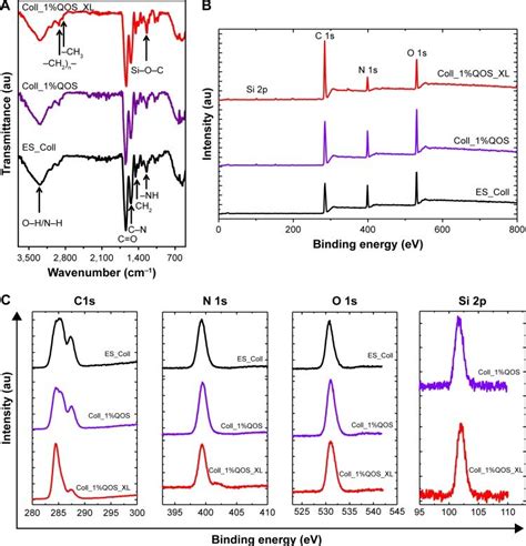 A Ftir Spectra B Xps General Scan And C High Resolution C 1s N Download Scientific