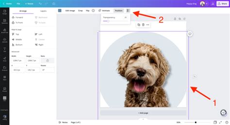 Canva Tips And Tricks Beginners Guide 2025