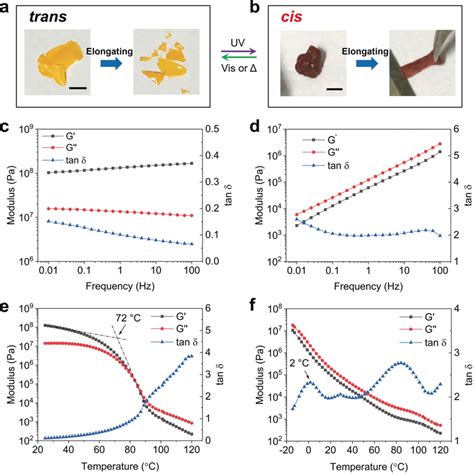 Dma‐measured Storage Modulus G′ Loss Modulus G′′ And Loss Download Scientific Diagram