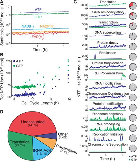 A Whole Cell Computational Model Predicts Phenotype From Genotype Pmc