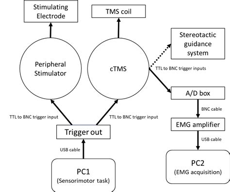 Combined Peripheral Nerve Stimulation And Controllable Pulse Parameter Transcranial Magnetic