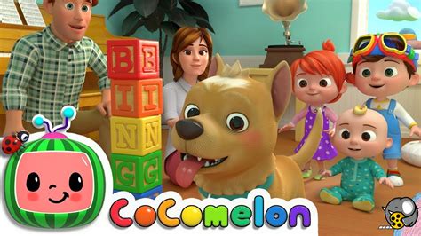 کوکوملون کارتون کوکوملون انیمیشن کوکوملون Cocomelon کارتون