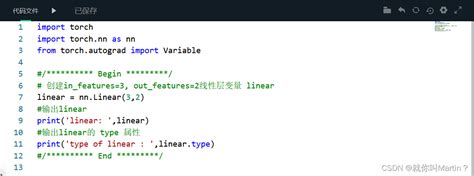 pytorch 之torch nn初探 第1关：torch nn module 就你叫martin？的博客 csdn博客