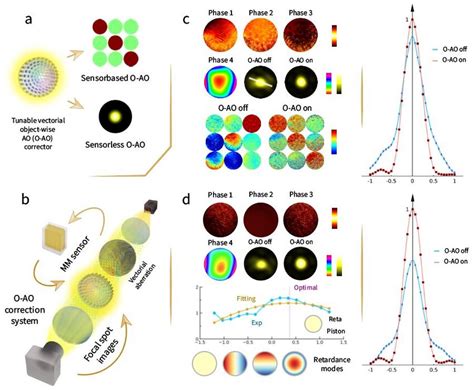 Synthetic Matter As A Beam Corrector A Structured Matter Acts As A Download Scientific