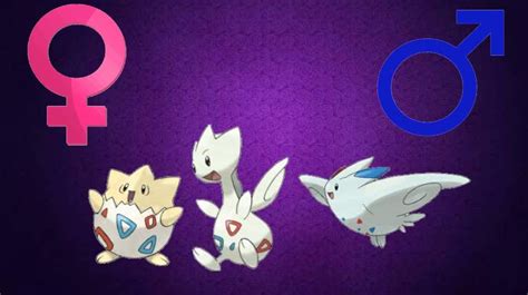 Weird Gender Ratio Chances Pka Fun Blogs Pok Mon Amino