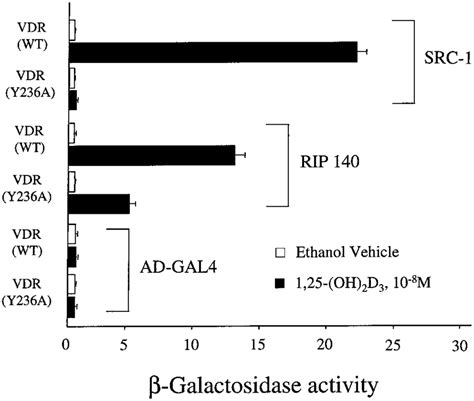 Interaction Of Wild Type Vdr And Vdr Y236a With Src 1 And Rip 140 In Download Scientific