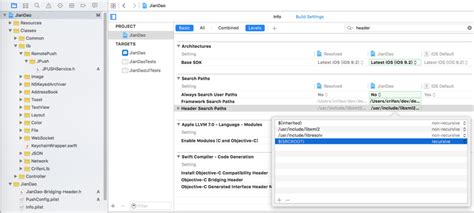 已解决 Swift中如何调用object C的a的库函数 在路上