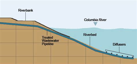 Solved Depicted Is A Riverbed Diffuser For Treated