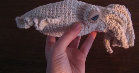 Cuttlefish Pattern Available