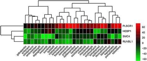 Genes Showing Reversed Expression In Response To Treatments With