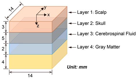 Monte Carlo Based Optical Simulation Of Optical Distribution In Deep Brain Tissues Using Sixteen