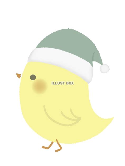 無料イラスト 冬 帽子をかぶる鳥さんのイラスト 線なし