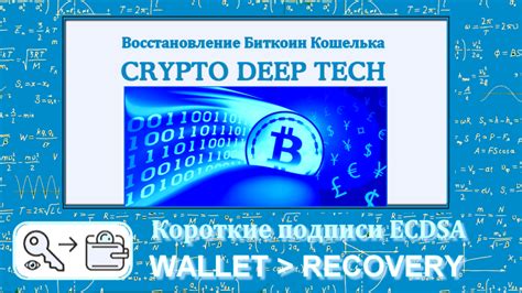 Bitcoin Wallet Recovery Via Ecdsa Short Signatures Crypto Deep Tech