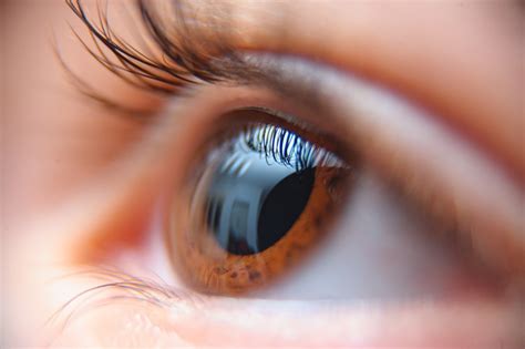 Prior Injections Linked To Inflammation After Brolucizumab In Macular Degeneration