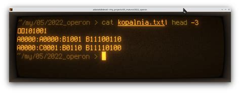 Matura Próbna Z Operon 2023 Plik Kopalnietxt I Python