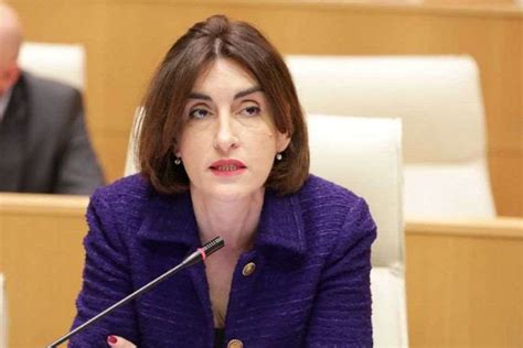 არ ვიცი დემოკრატიულმა ქვეყნებმა როგორ უნდა ახსნან დემოკრატიული ქვეყნის კანონმდებლის მიმართ