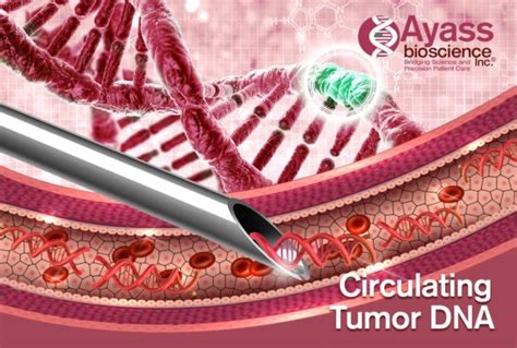 Circulating Tumor Dna Archives Laboratory Testing And Research