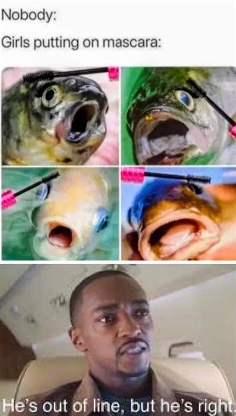 Omg Hes Right Feeing Called Out But Hes Right Meme By Bat112112