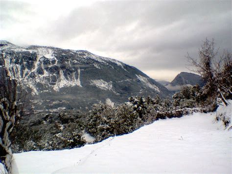 ΓΙΑΝΝΗΣ ΚΡΕΠΕΤΟΣ ΧΙΟΝΙ ΣΤΑ ΚΟΥΚΟΥΛΙΑ ΑΡΤΑΣ ΤΖΟΥΜΕΡΚΑ