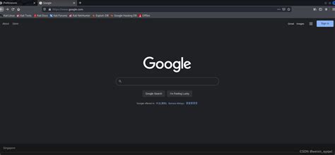 Kali Linux配置网络代理kali设置代理 Csdn博客 Kali Linux配置网络代理kali设置代理 Csdn博客