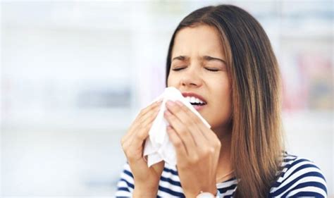 Understanding Worm Infection What Are The Types And Effective Solutions Understanding Worm Infection What Are The Types And Effective Solutions