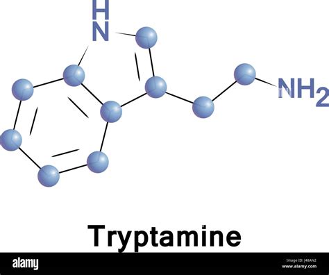 Tryptophan Lewis Structure